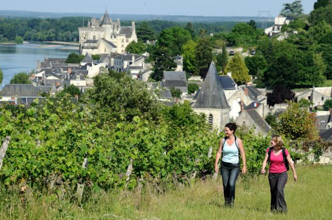 Vignoble d’Anjou-Saumur en Val de Loire | Anjou Tourisme