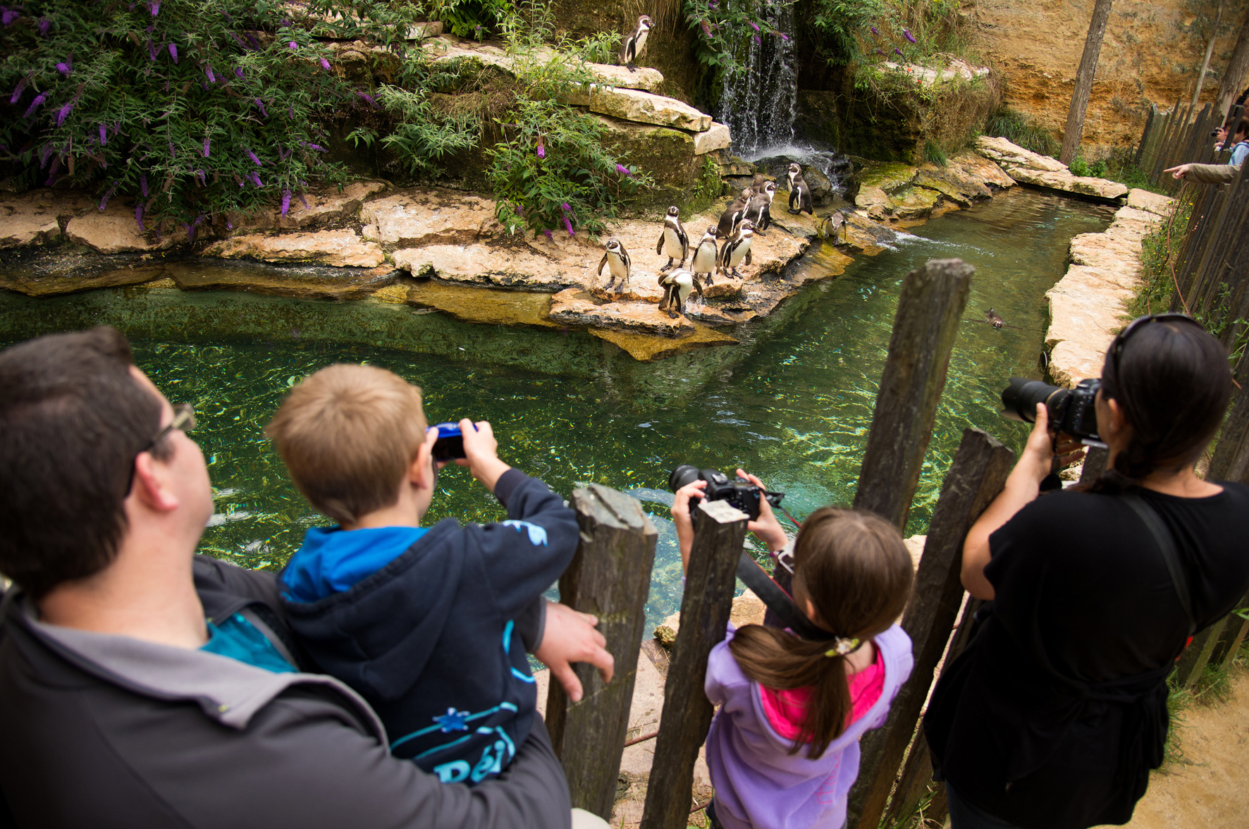 Bioparc Zoo de Doué la Fontaine - La plus grande volière d'Europe